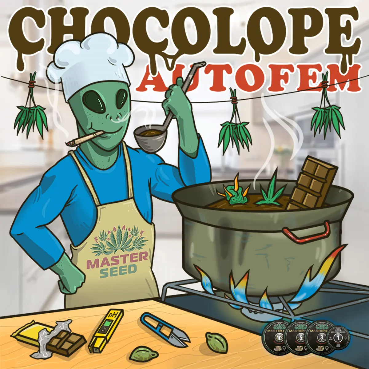 Купить семена конопли auto Chocolope fem. Испанские сорта MASTER-SEED