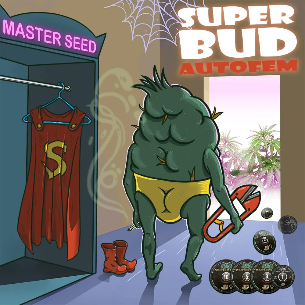 Купити насіння коноплі auto Super Bud (Супер Бад), сідбанк Master-Seed